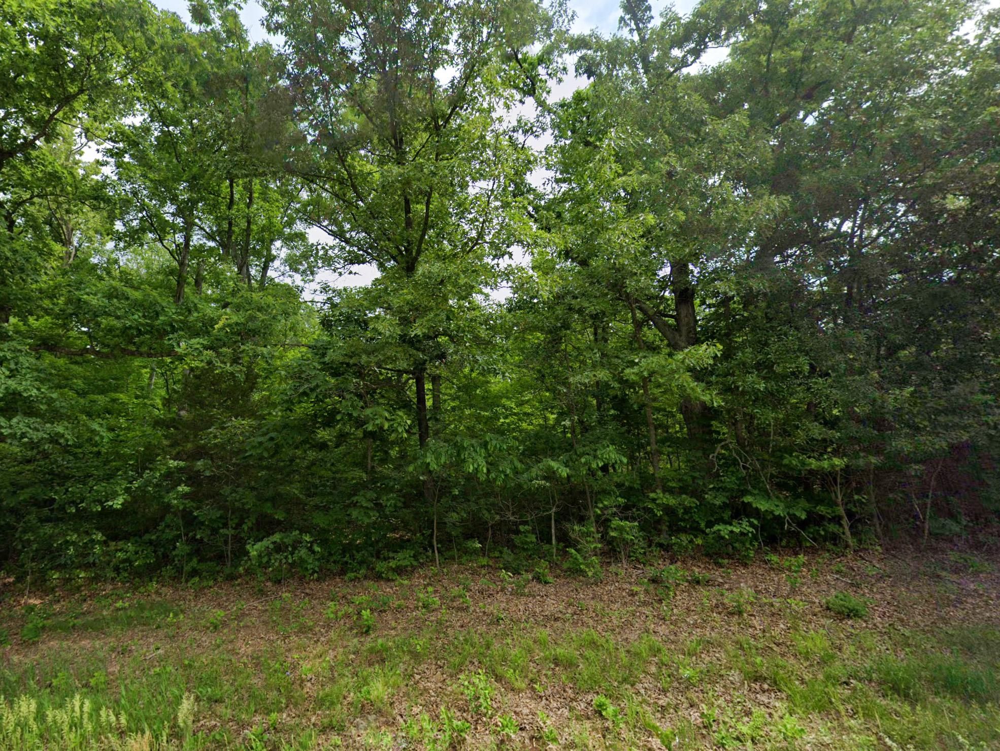 175 Country Drive, Foley, MO 63347 | Land.com