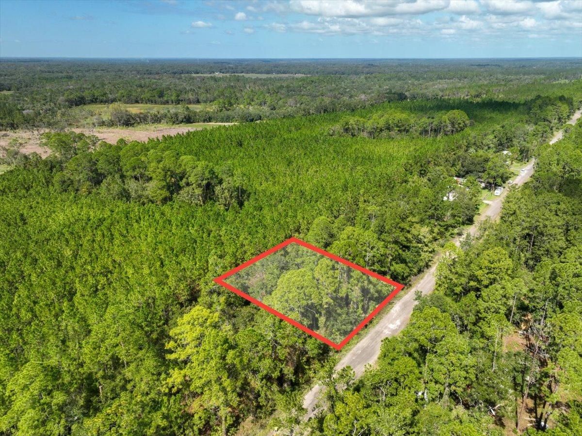 NE 65th Ave, Citra, FL 32113 | Land.com