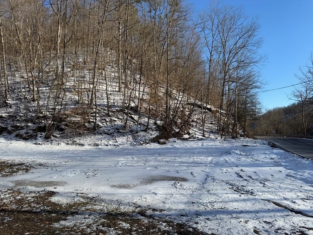 1850 Toler Creek, Harold, KY 41563 | MLS: 124347 | Land.com