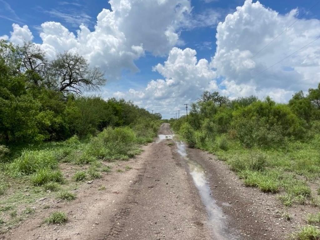 51.04 acres in Freer, TX, 78357 | Land.com