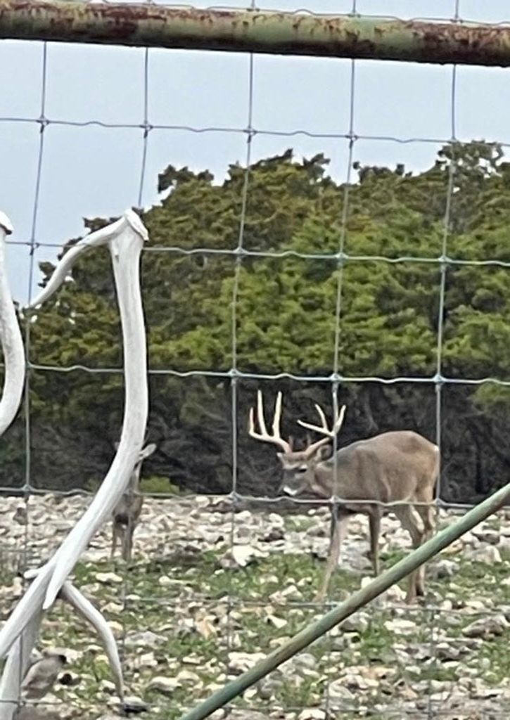 16.65 acres in Harper, TX, 78631 | Land.com