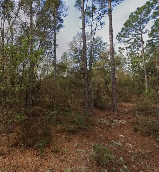 107 Florida St, Interlachen, FL 32148 | Land.com
