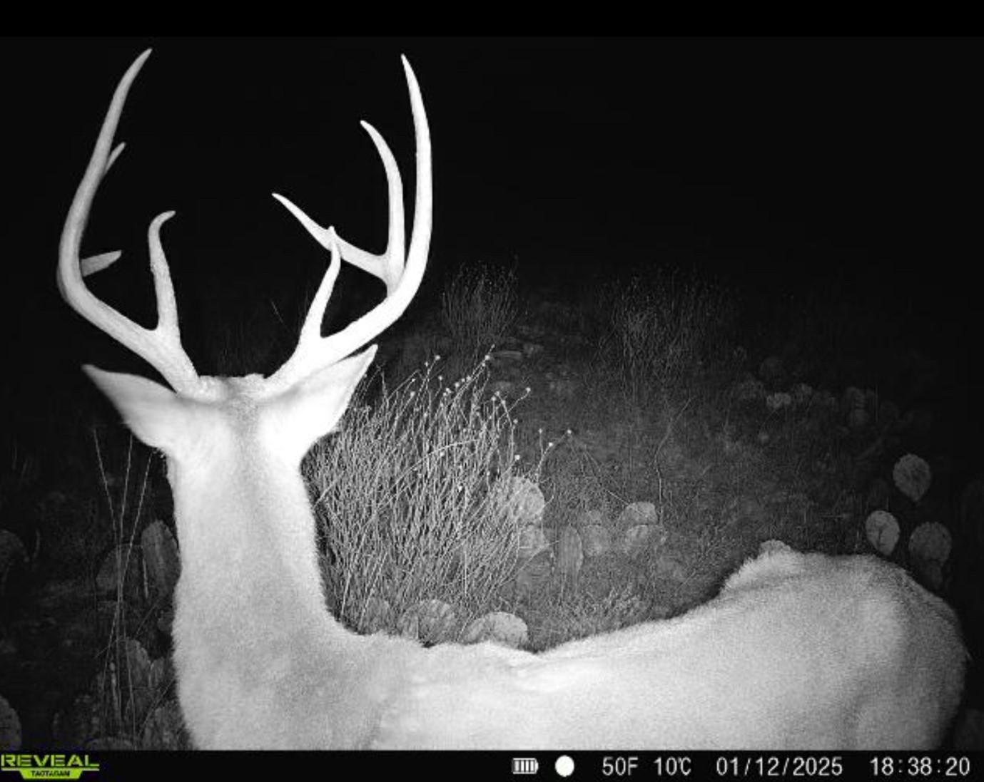 141 acres in Brady, TX, 76825 | Land.com