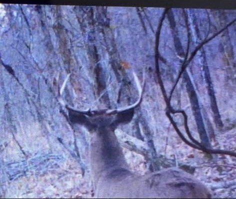 14311 E 668 Rd, Hulbert, OK 74441 | MLS: 11415331 | Land.com