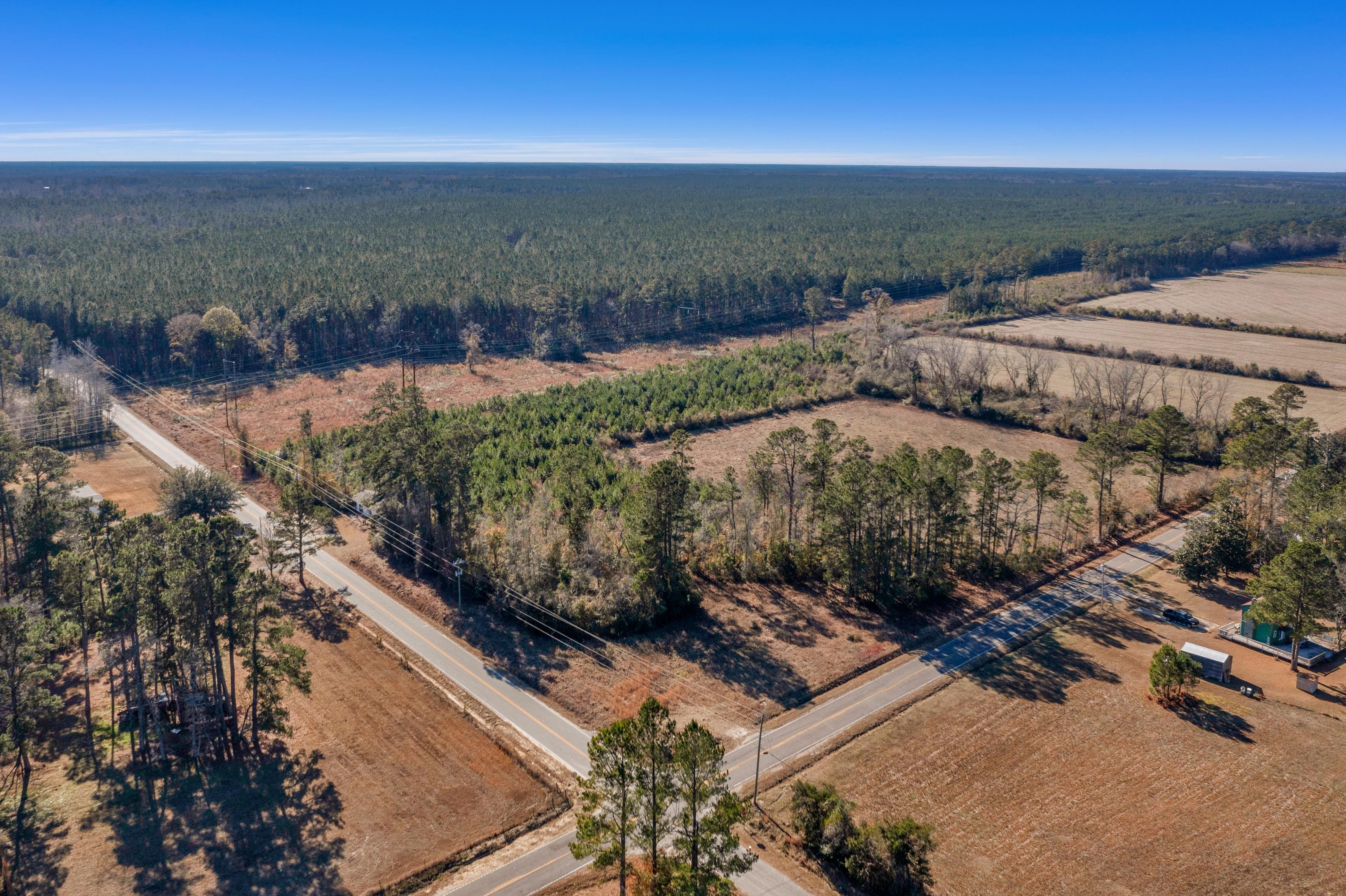Williams Hill Rd, Hemingway, SC 29554 | MLS: 6000068 | Land.com
