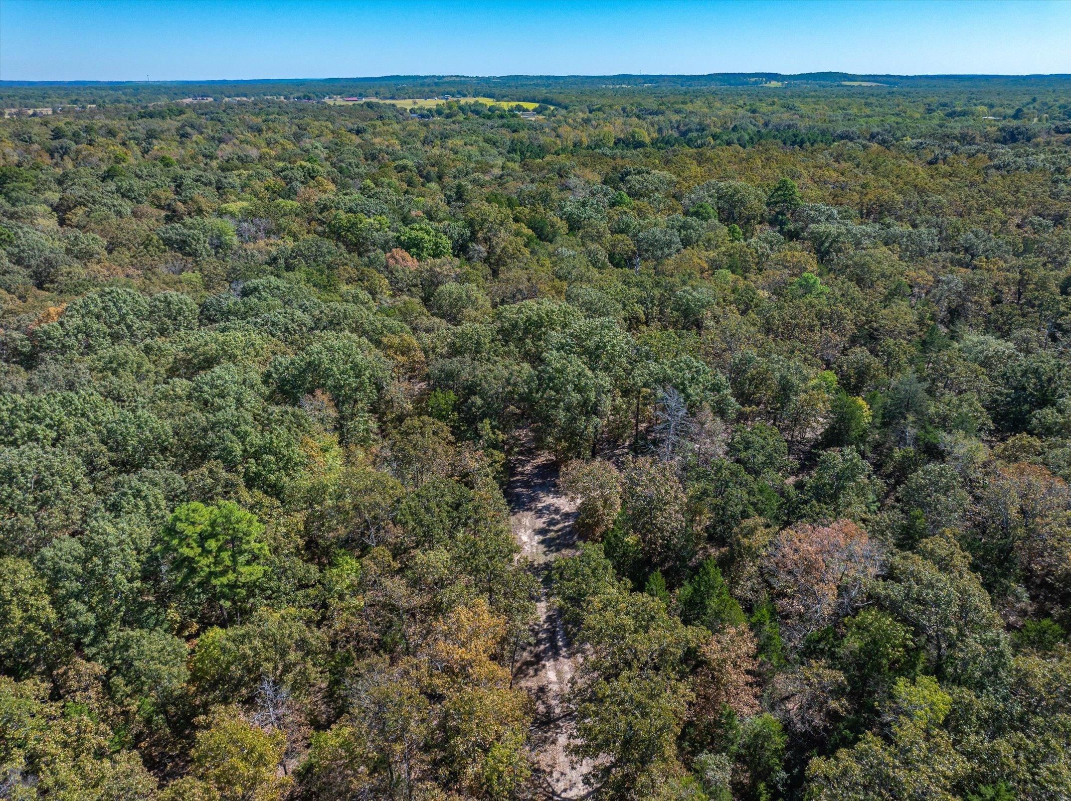5205 FM 279, Ben Wheeler, TX 75754 | MLS: 20828136 | Land.com