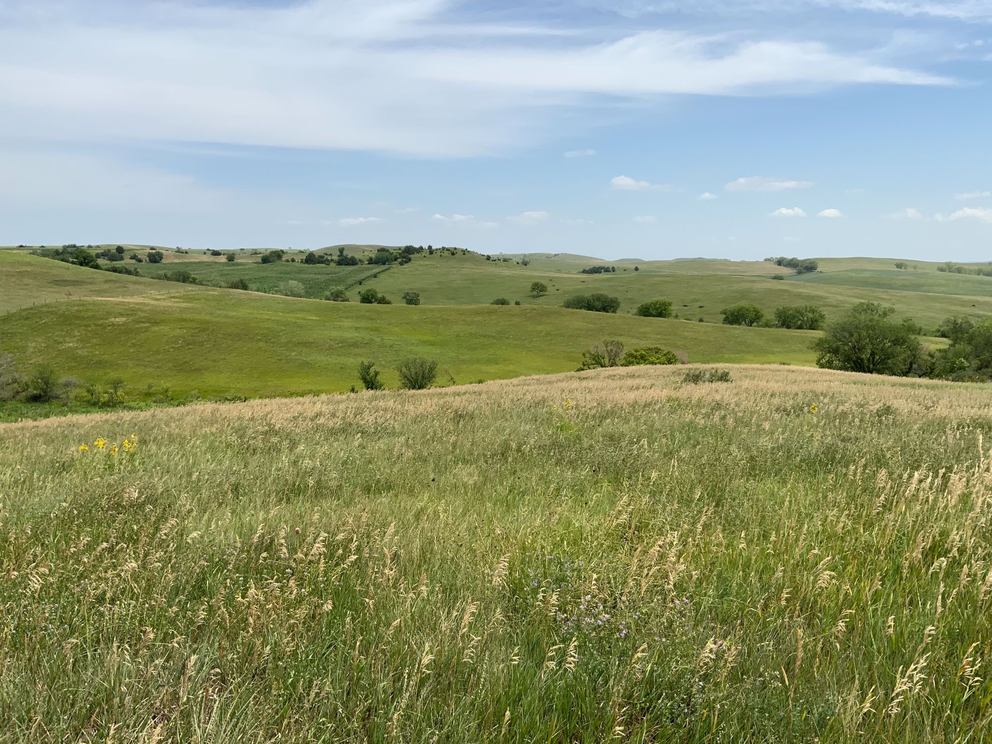 112.32 acres in Verdel, NE, 68760 | Land.com
