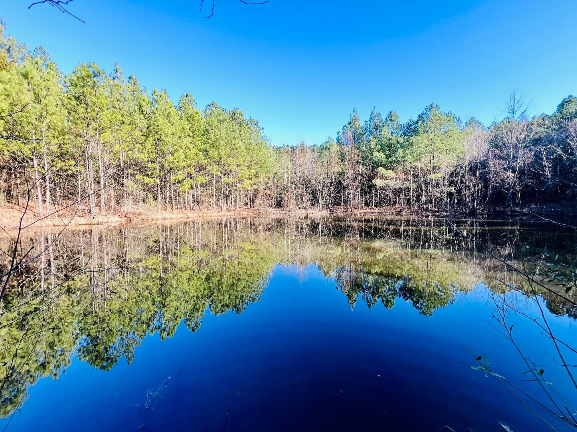 34 acres in Baldwyn, MS, 38824 | MLS: 25-276 | Land.com
