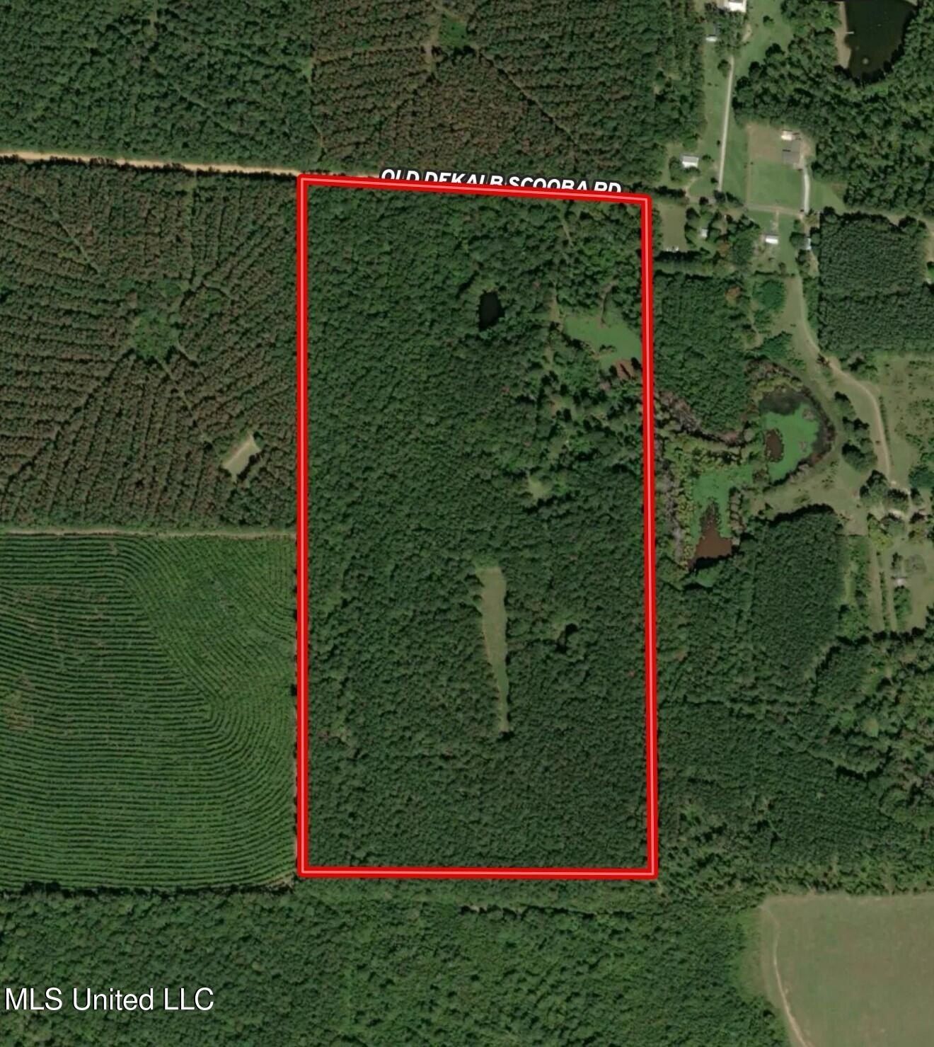 No Old Dekalb Scooba Road, Scooba, MS 39358 | MLS: 4102234 | Land.com