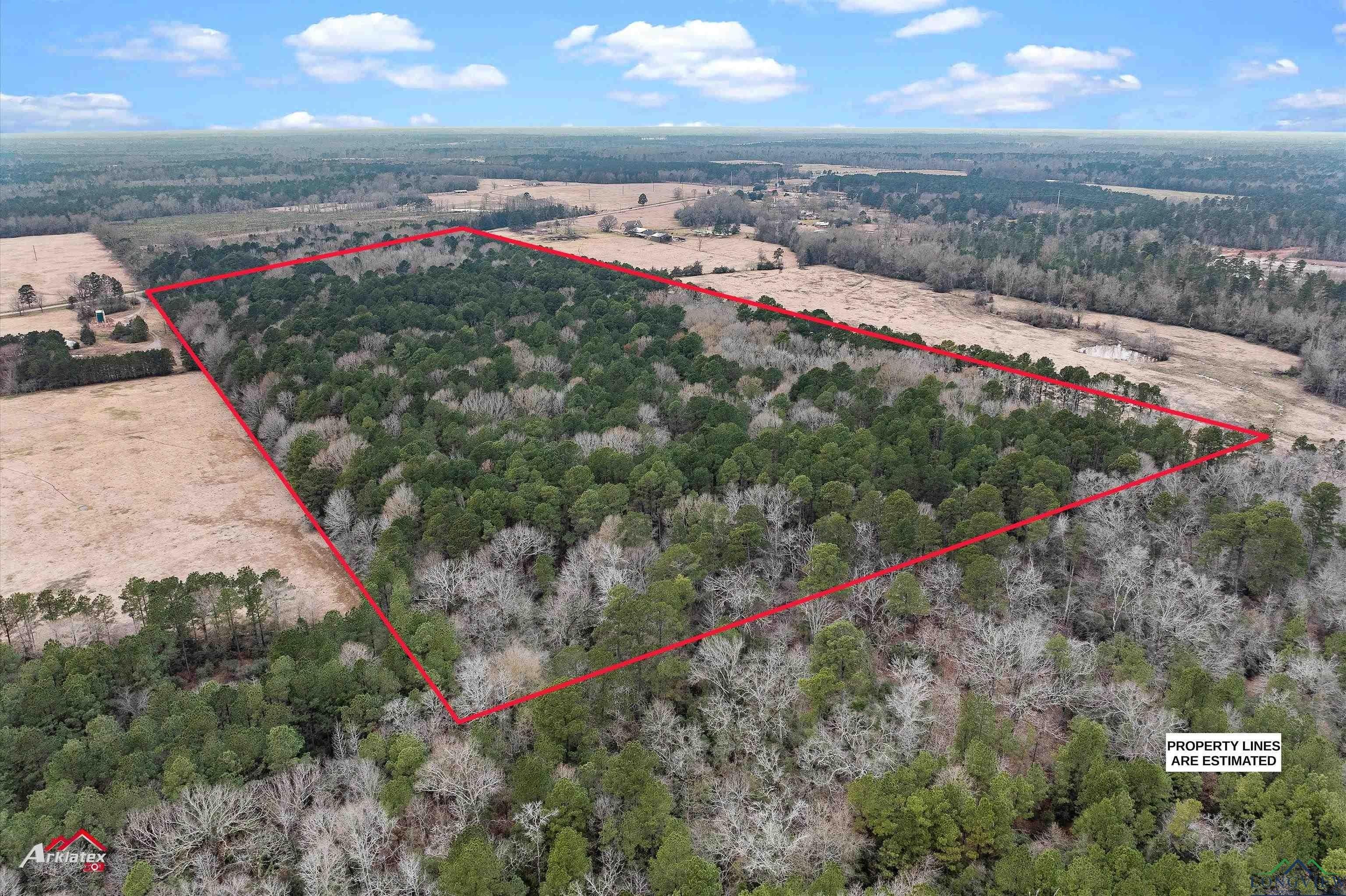 FM 31 N, De Berry, TX 75639 | MLS: 20250620 | Land.com