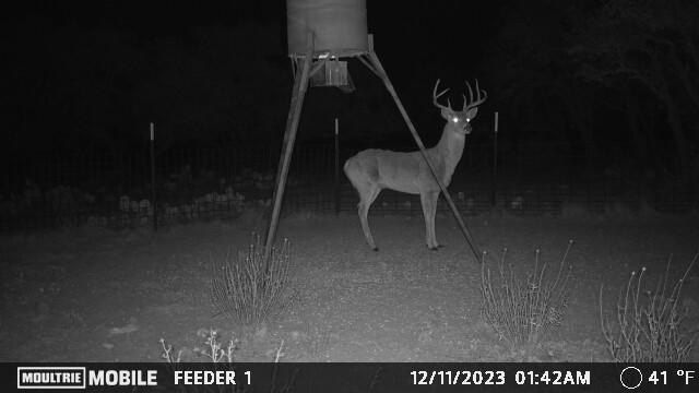 129 Big Buck Run Road, Menard, TX 76859 | MLS: 20829704 | Land.com