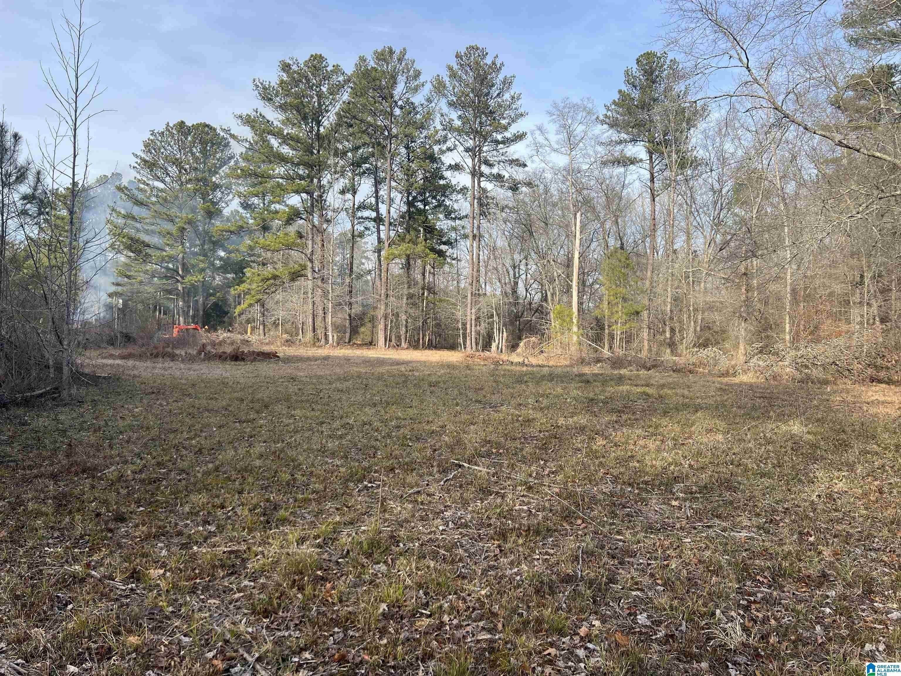 0 CAMP CREEK ROAD, Cropwell, AL 35054 | MLS: 21408103 | Land.com
