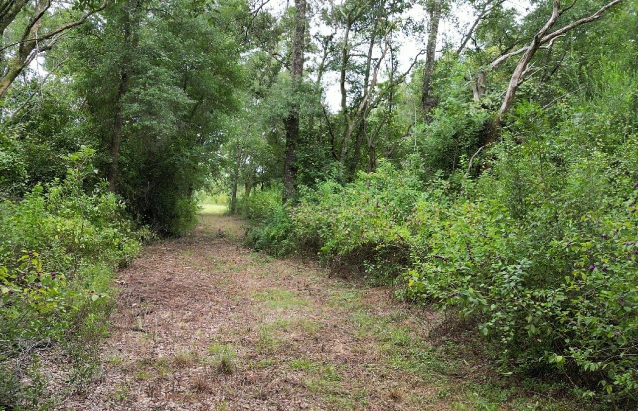 Greek Cemetery Road, Elberta, AL 36530 | Land.com