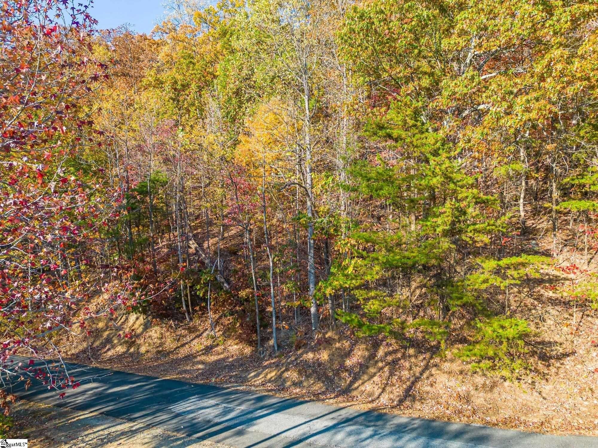 19 Hemlock Trail, Columbus, NC 28722 | MLS: 1532898 | Land.com