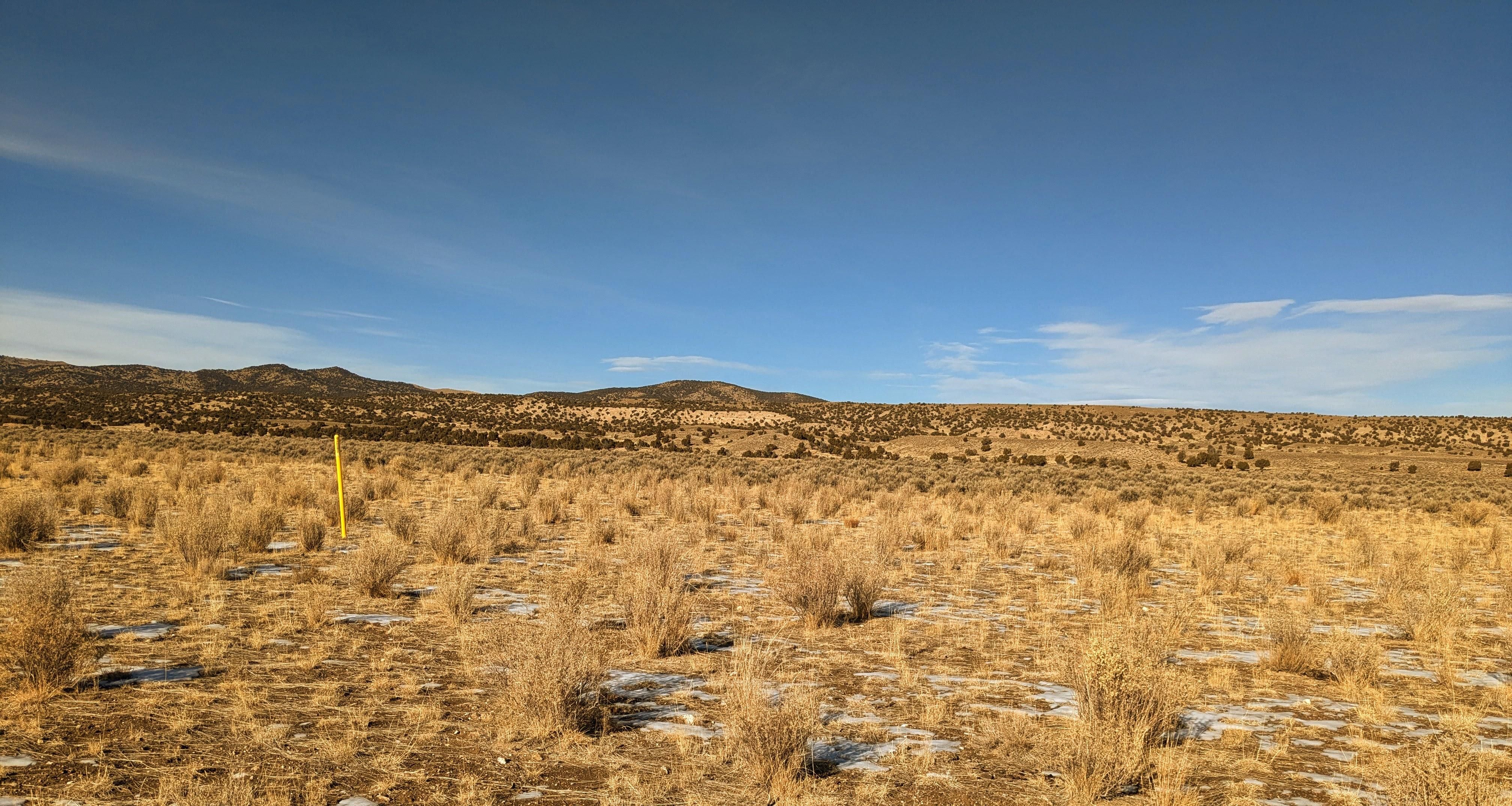 40 acres in Wells, NV, 89835 | Land.com