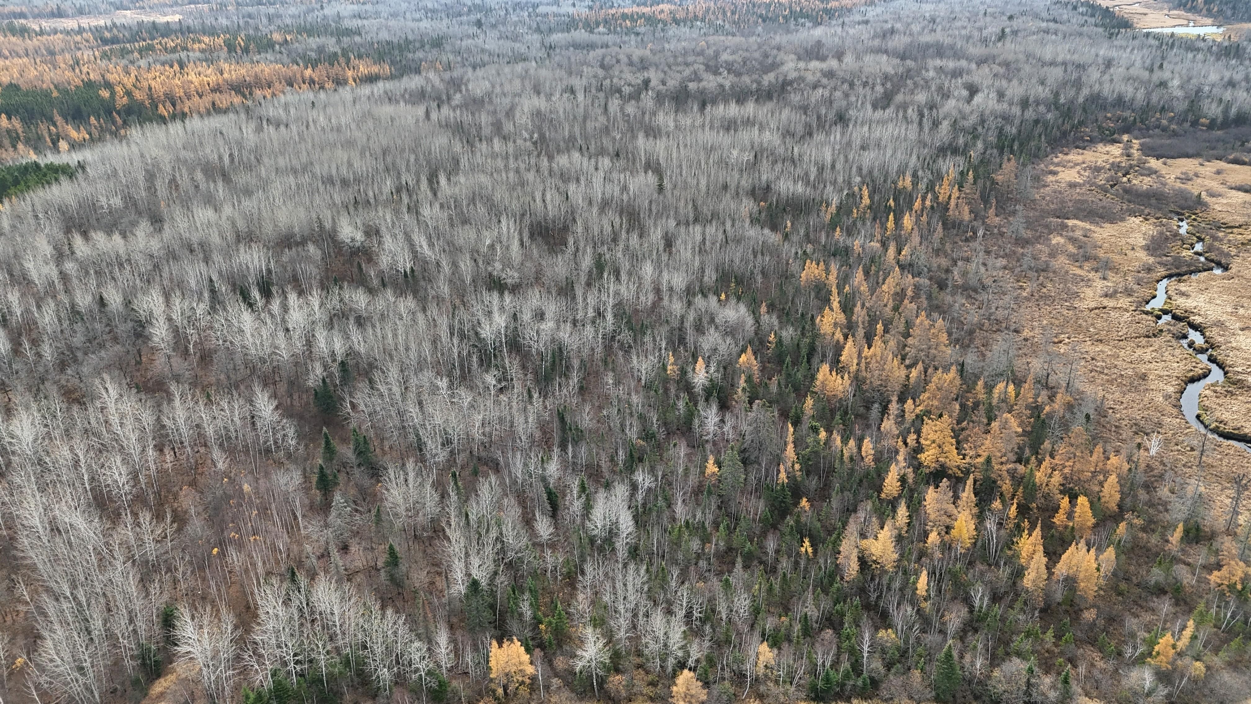 40 acres in Brimson, MN, 55602 | MLS: 6655622 | Land.com