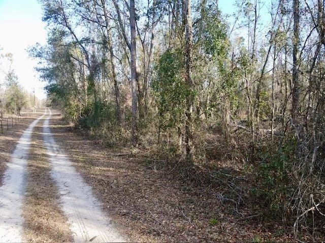 NE Cedar Trail, Pinetta, FL 32350 | MLS: 381458 | Land.com