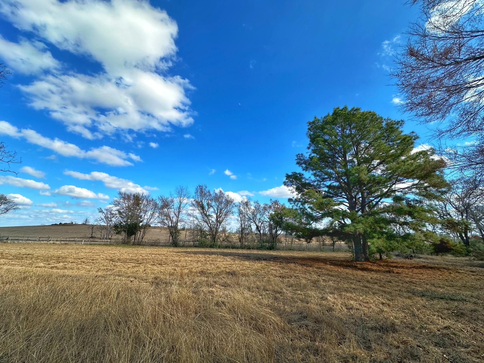 Texas 75, Leona, TX 75850 | Land.com