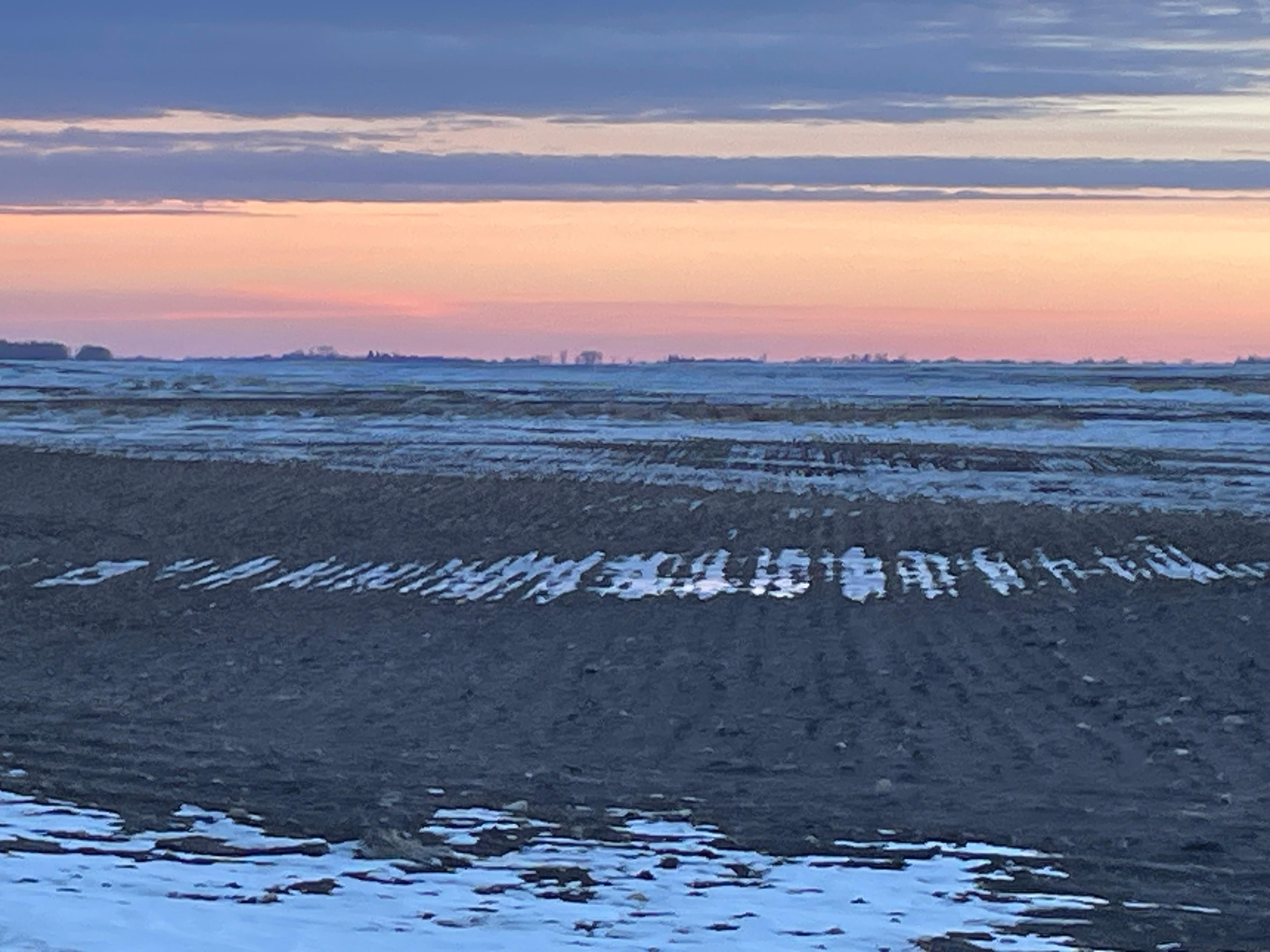 Towner County, Perth, ND 58363 | Land.com