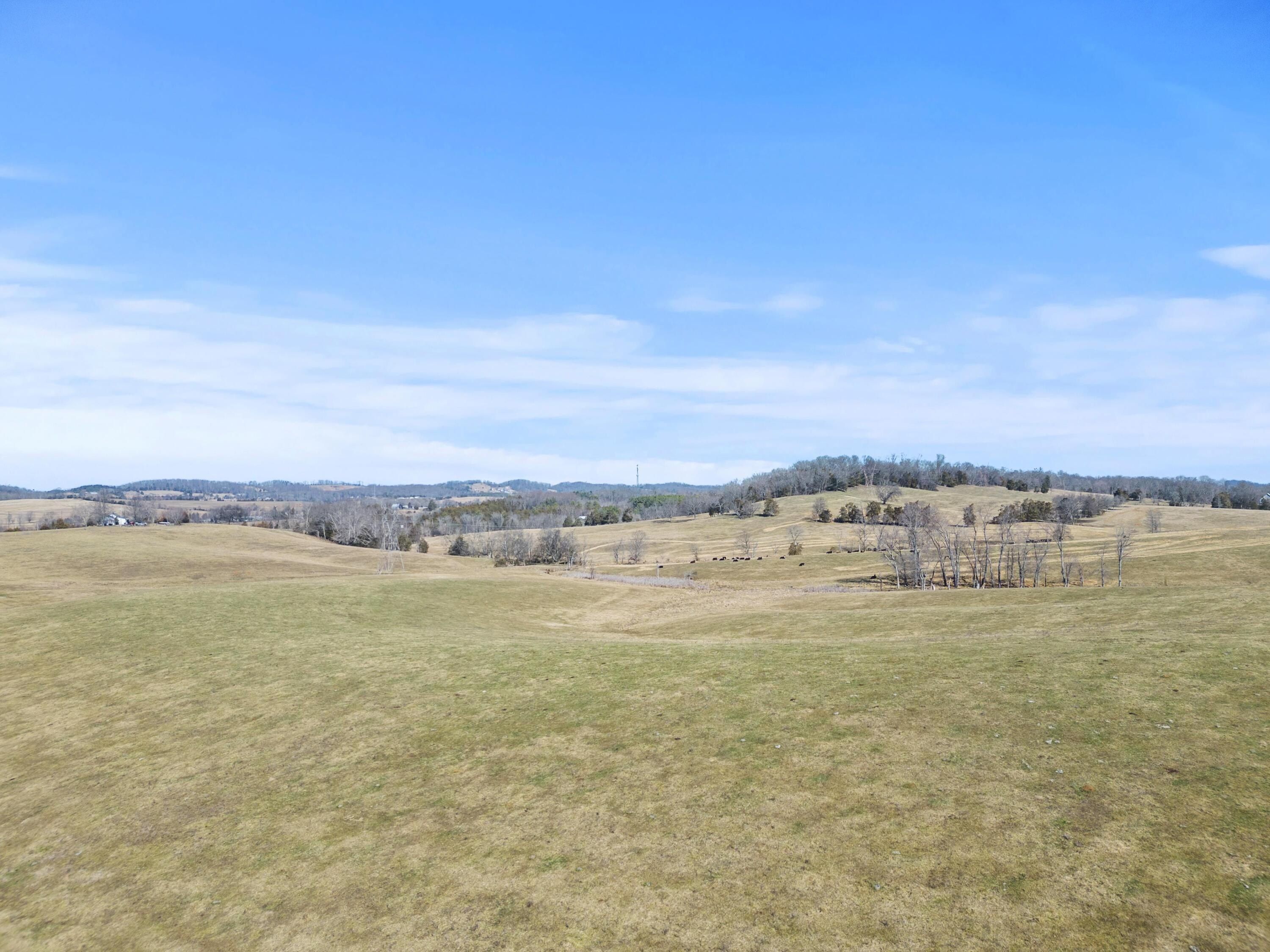 +-122.76 Spring Creek Road, Dandridge, TN 37725 | MLS: 706390 | Land.com