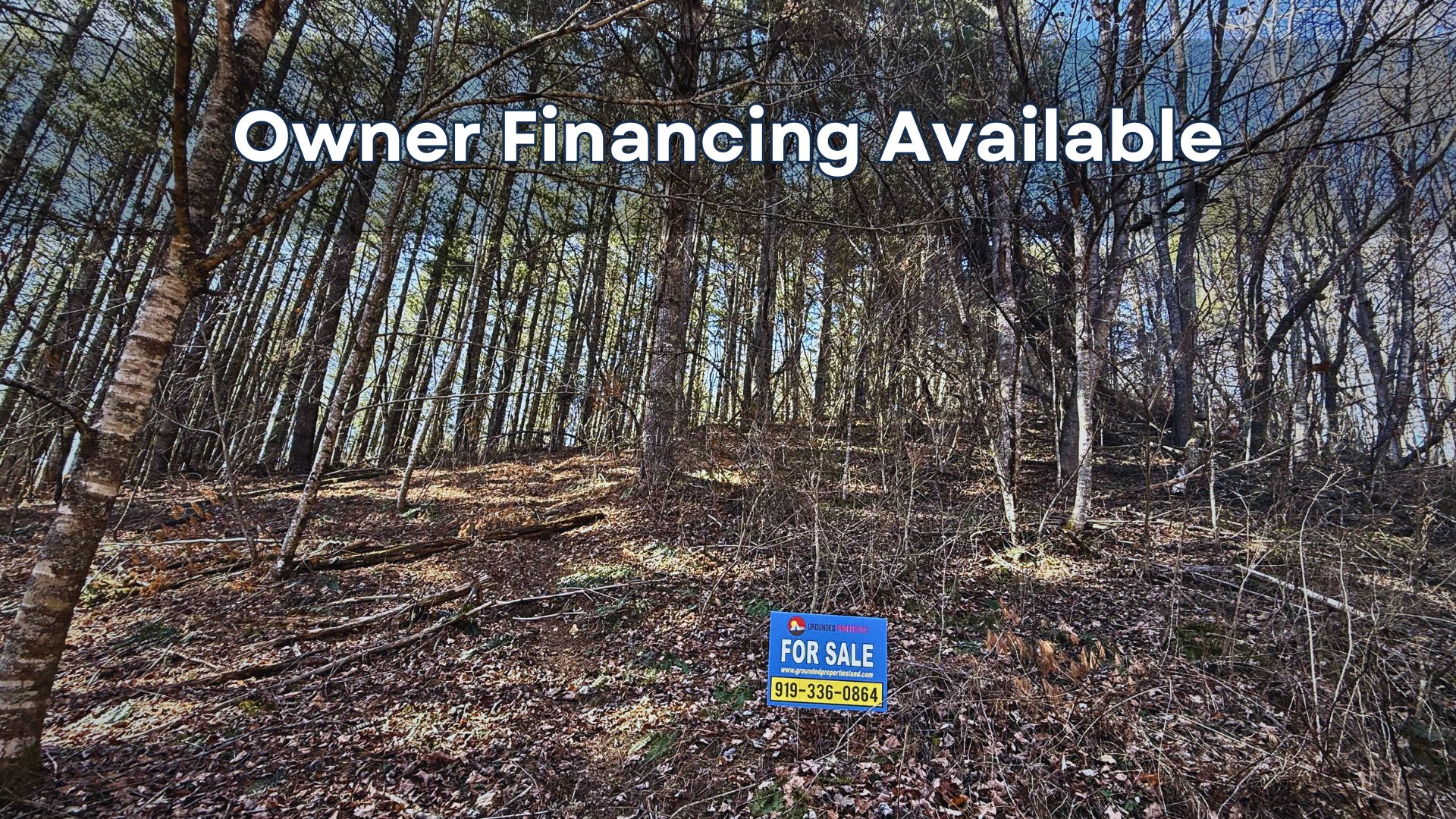 Bee Tree Rd, Lansing, NC 28643 | Land.com