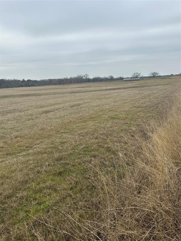 4365 S Fm 730, Decatur, TX 76234 | MLS: 20838269 | Land.com