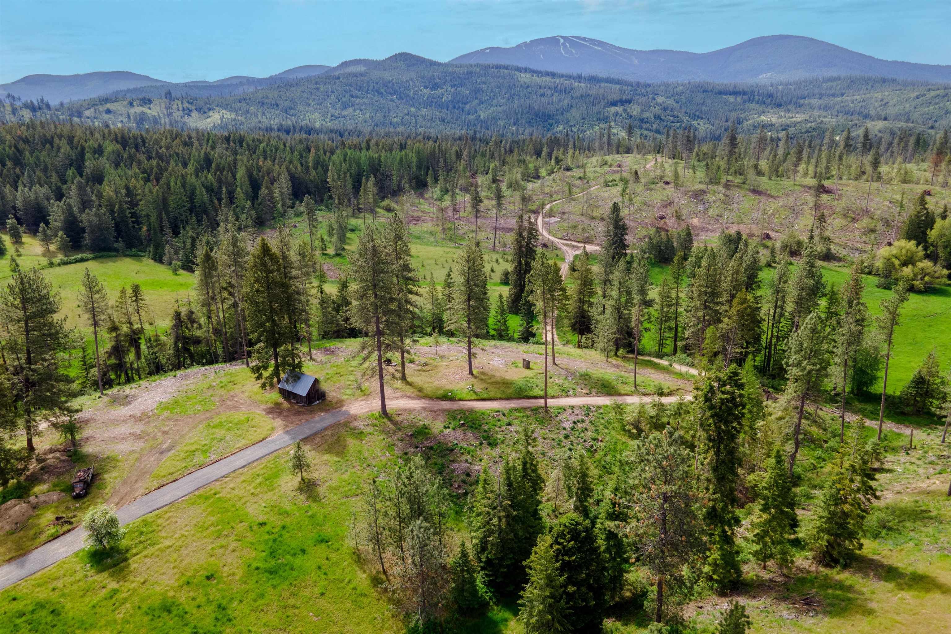 NKA Chapman #3 Rd, Elk, WA 99009 | MLS: 202314298 | Land.com