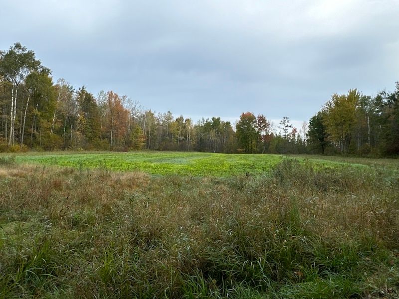W0 Jones Road, Bruce, WI, Bruce, WI 54819 | MLS: 1588772 | Land.com