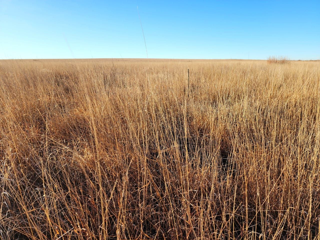 TBD County Road 21, Ulysses, KS 67880 | Land.com