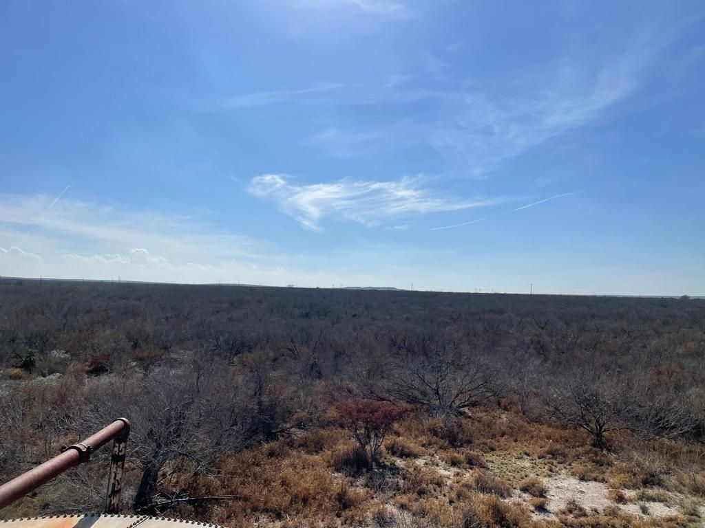 111.7 acres in Freer, TX, 78357 | Land.com