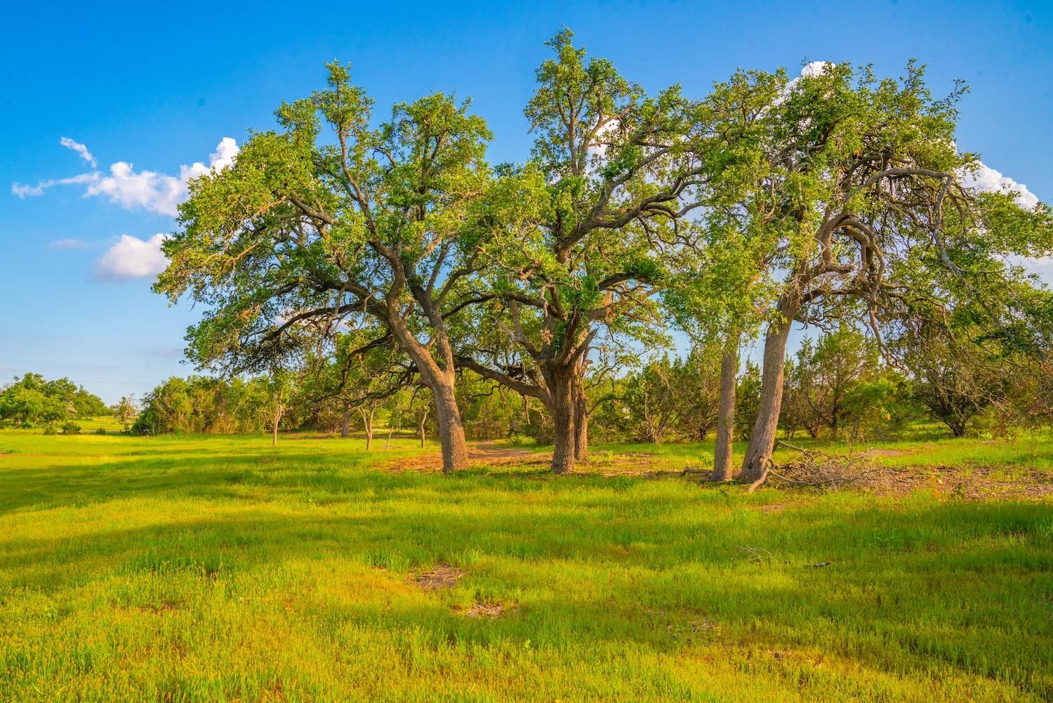 10.52 acres in Dripping Springs, TX, 78620 | Land.com