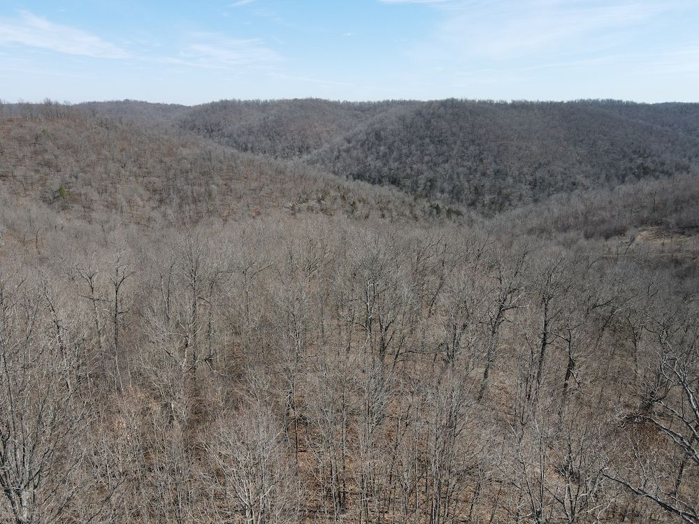 Firebreak Trail, Flippin, AR 72634 | Land.com