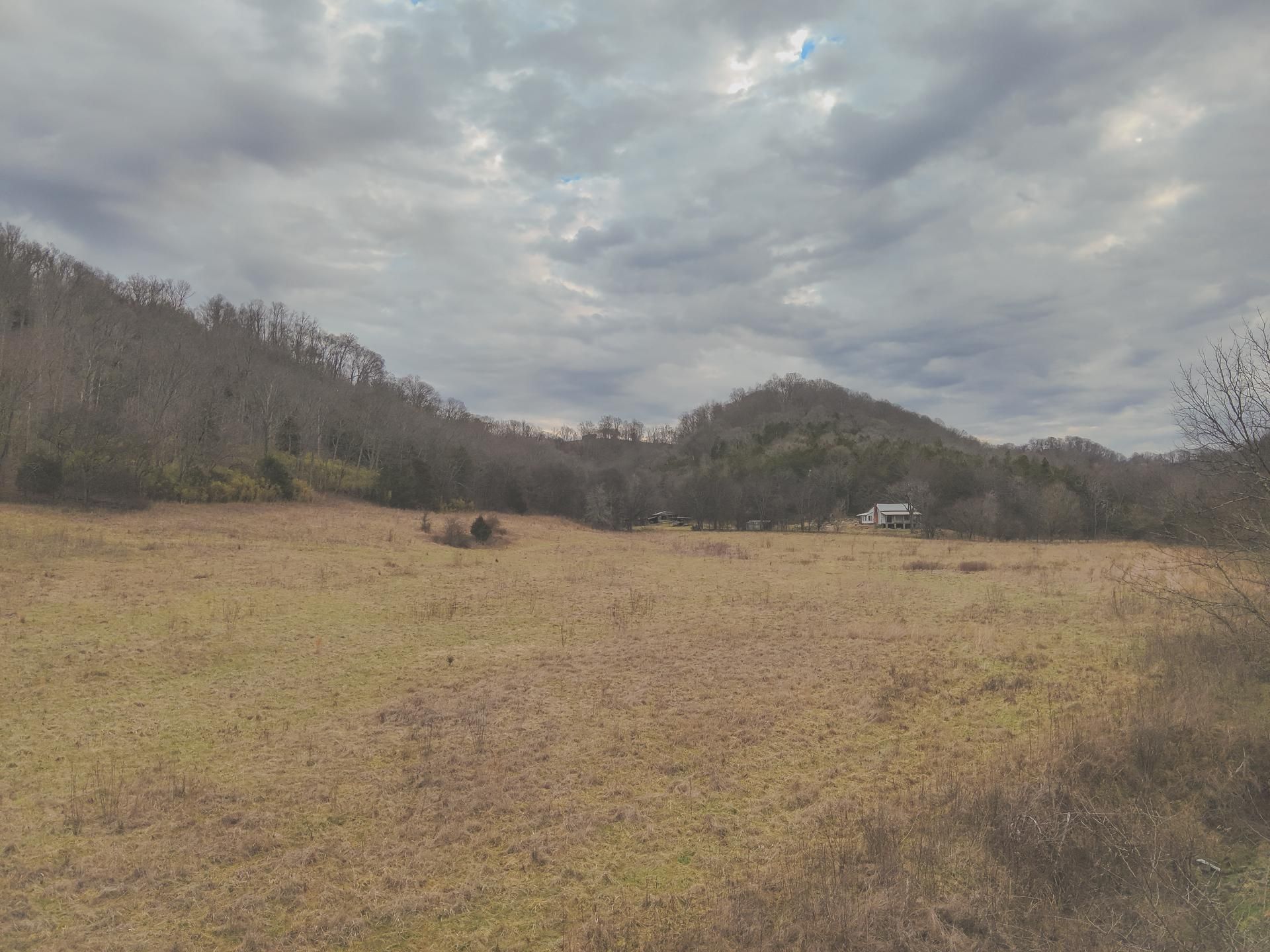 16431 Wallace Hollow Rd, Silver Point, TN 38582 | Land.com