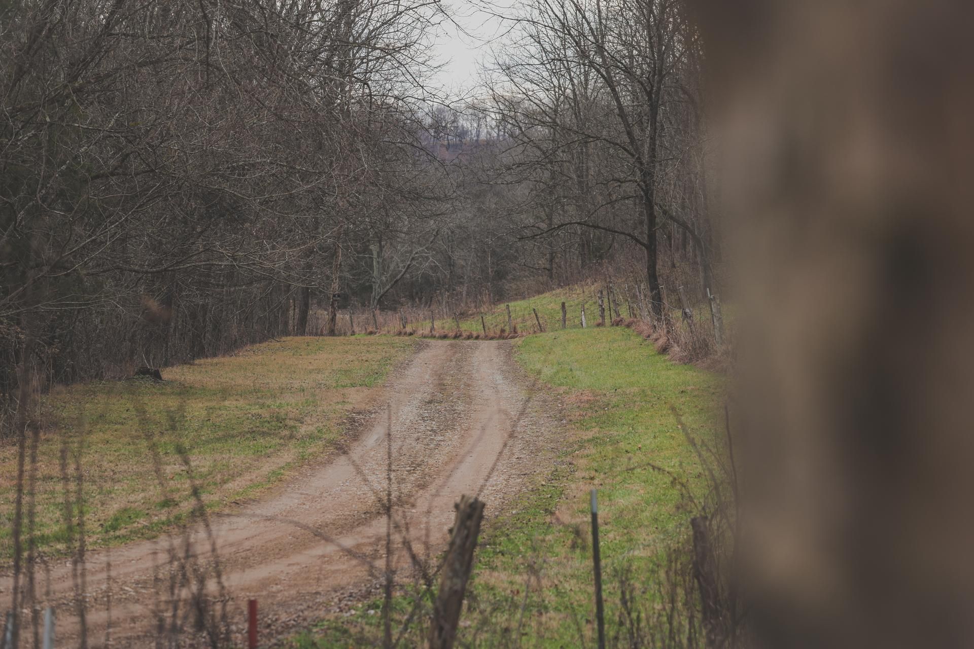 16431 Wallace Hollow Rd, Silver Point, TN 38582 | Land.com