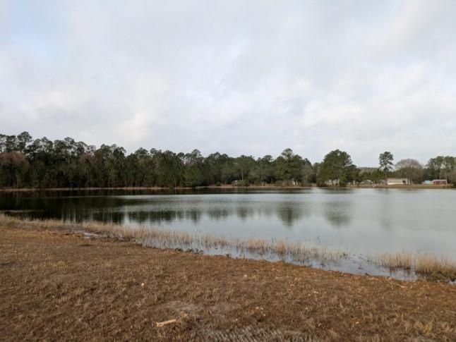 1.1 acres in Lake Butler, FL, 32054 | Land.com