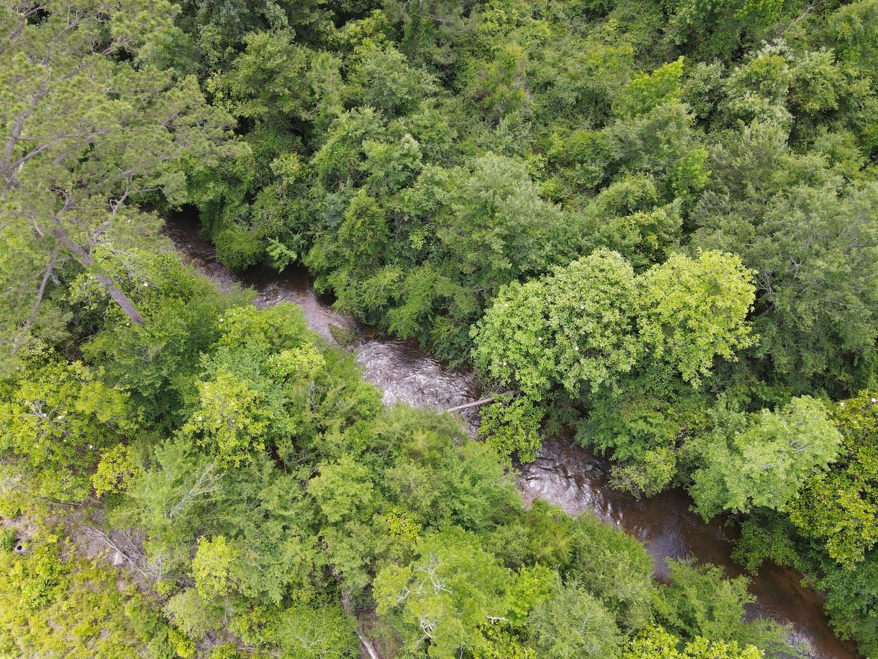 Castleberry, Castleberry, AL 36432 | Land.com