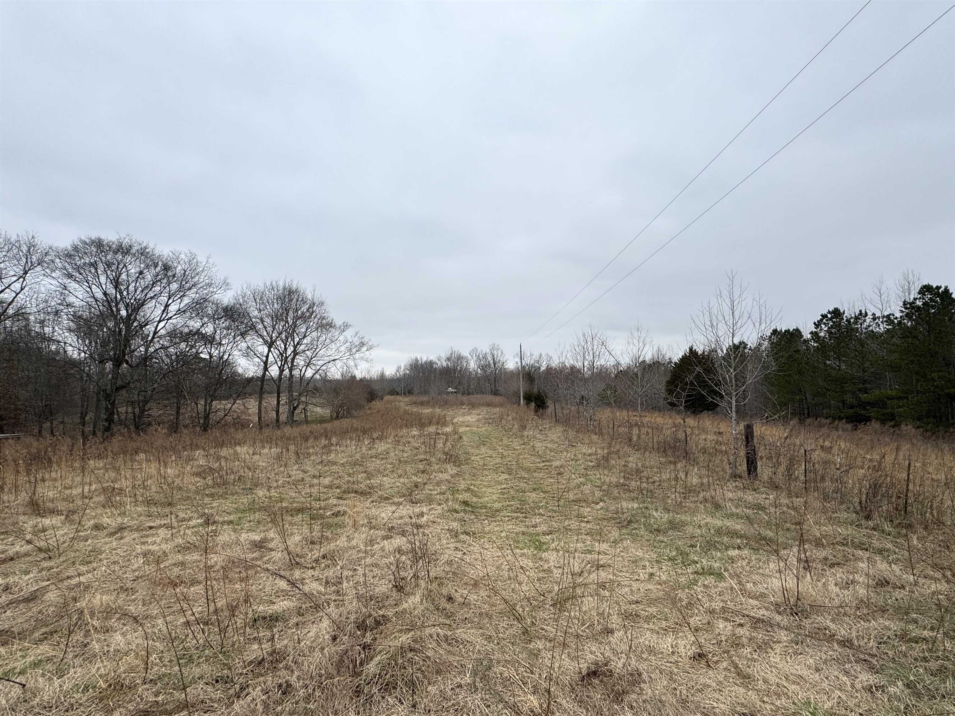 493 Rascal Town Rd, Loretto, TN 38469 | MLS: 520905 | Land.com