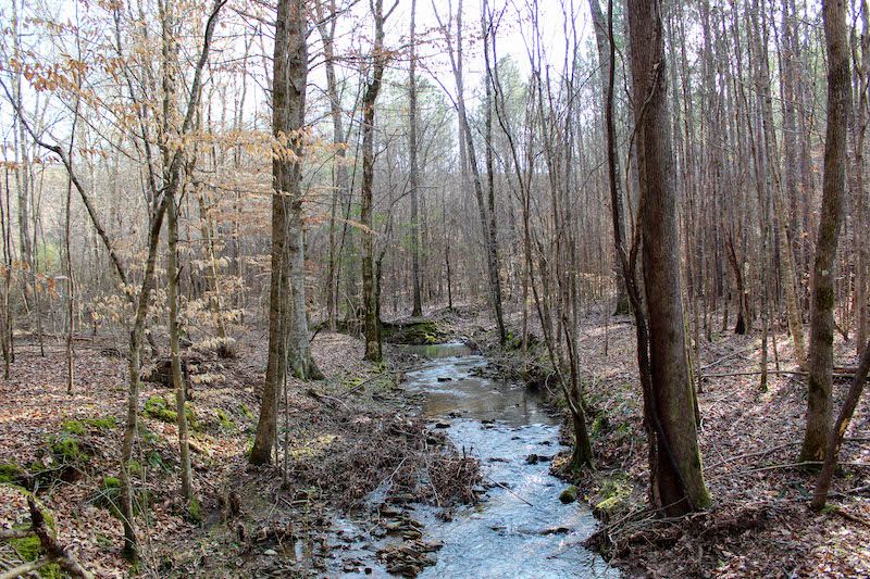 Highway 18 #2, Berry, AL 35579 | Land.com