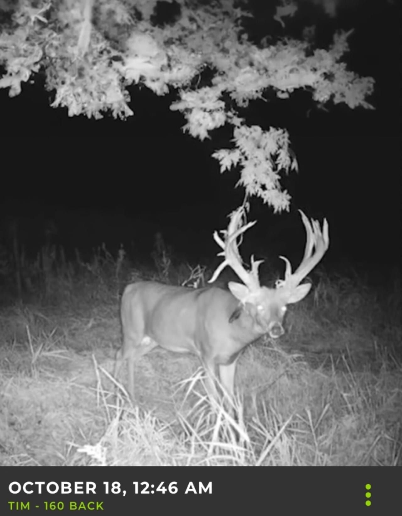 00000, Protection, KS 67127 | Land.com