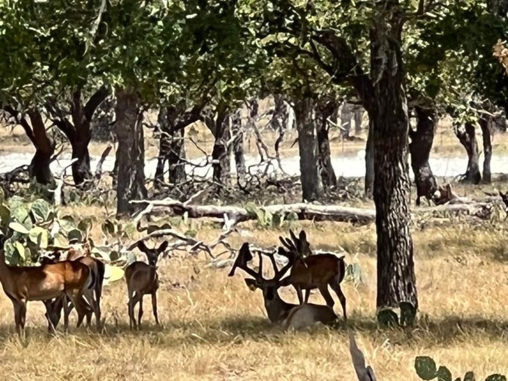 11.3 acres in Harper, TX, 78631 | Land.com