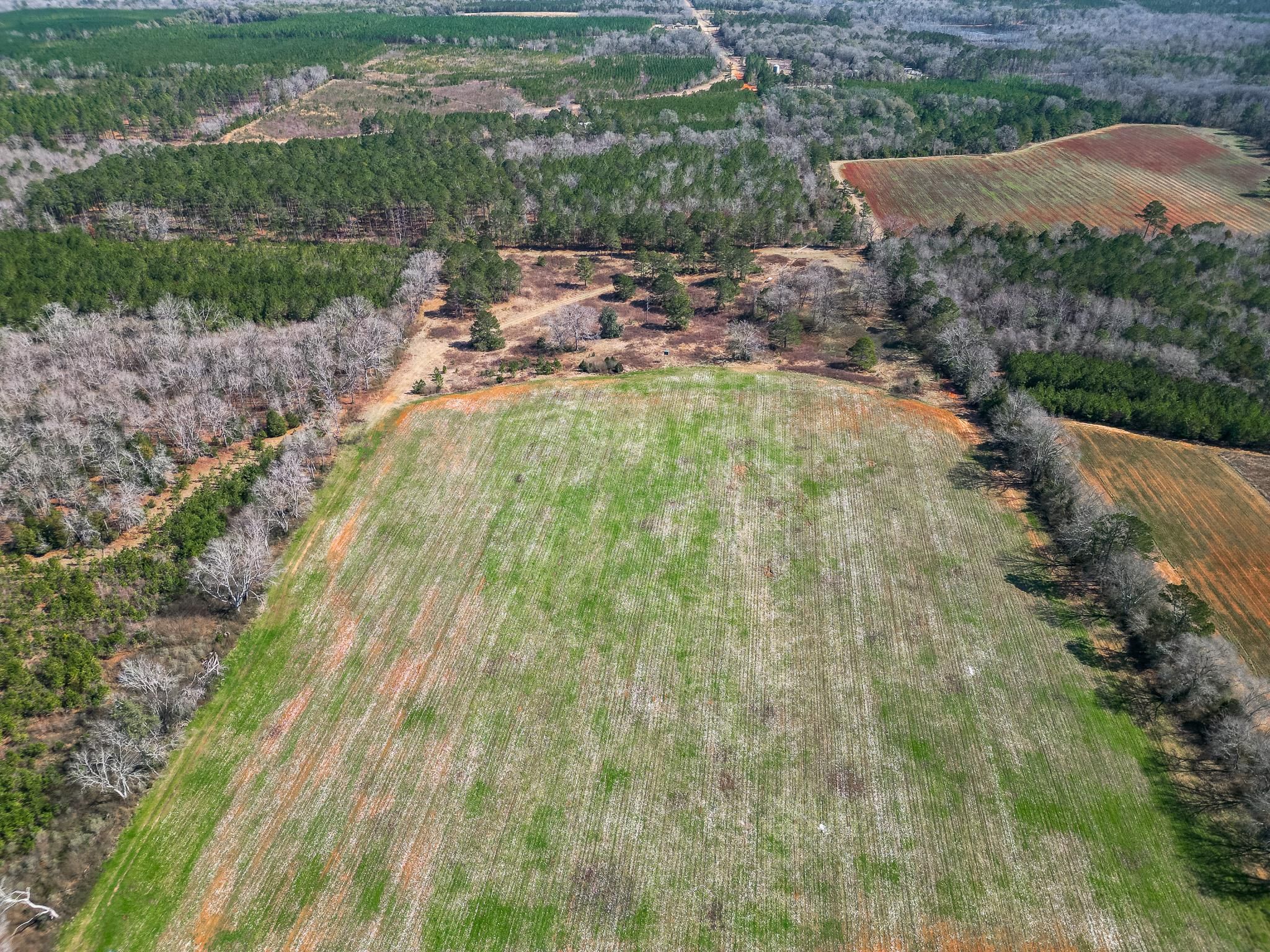 District Line Road, Cuthbert, GA 39840 | Land.com