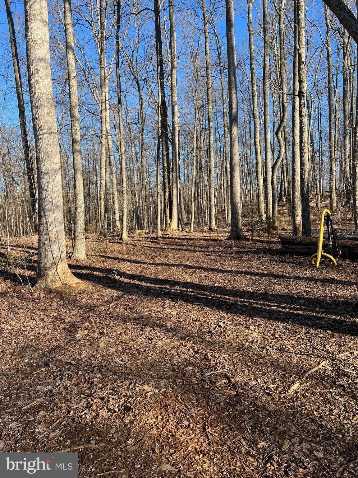 0 WOODS VIEW LN, Reva, VA 22735 | MLS: VACU2009802 | Land.com