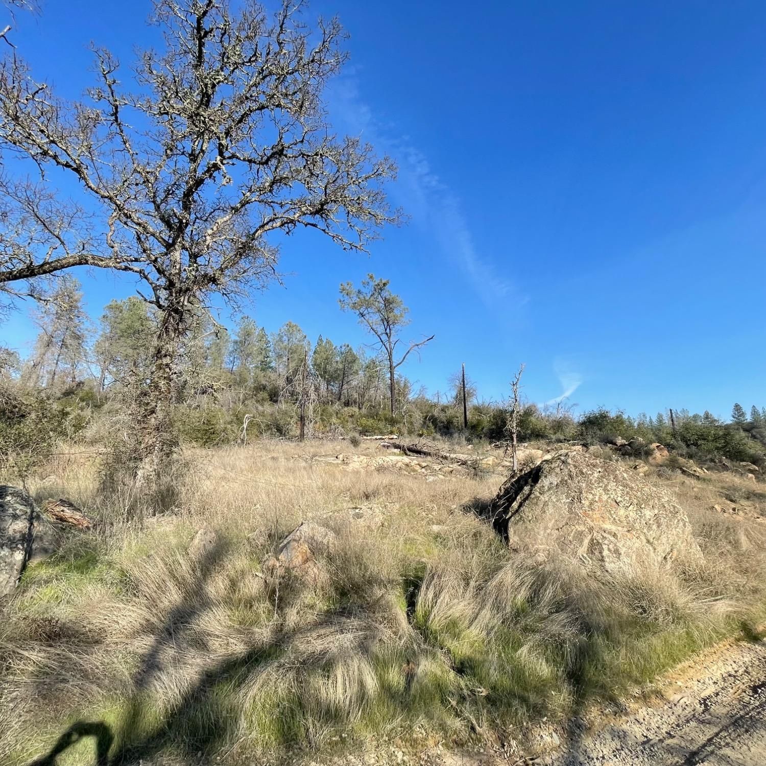 Deer Valley Road, Bangor, CA 95914 | MLS: 225017975 | Land.com