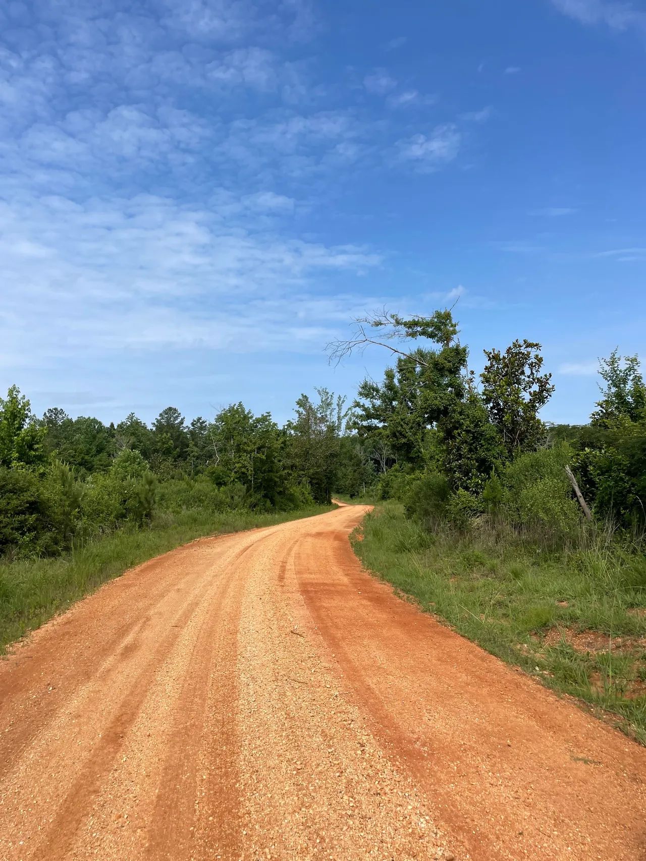 Pate Rd, Castleberry, AL 36432 | Land.com