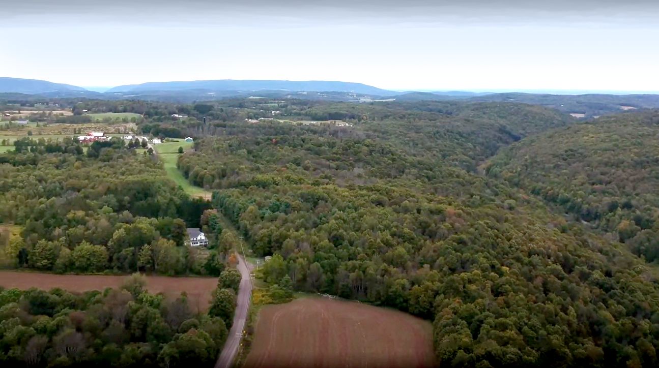 9960 Route 220 Highway, Dushore, PA 18614 | Land.com