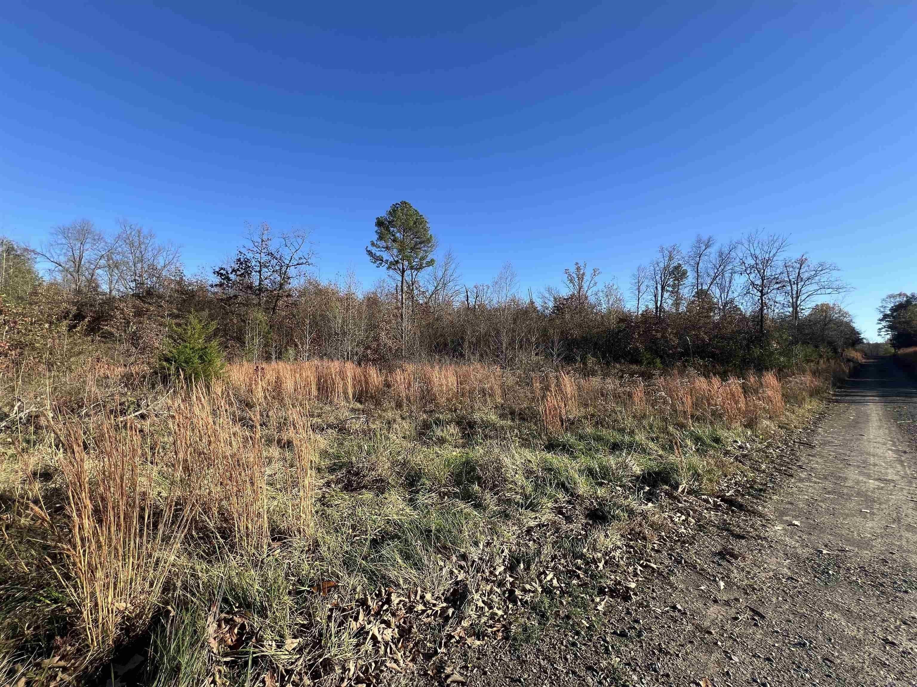990 - A Mahan Drive, Center Ridge, AR 72027 | MLS: 25007271 | Land.com