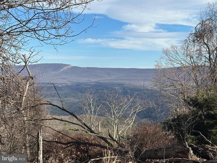 84 PEAKS VIEW DRIVE, Yellow Spring, WV 26865 | MLS: WVHS2005632 | Land.com