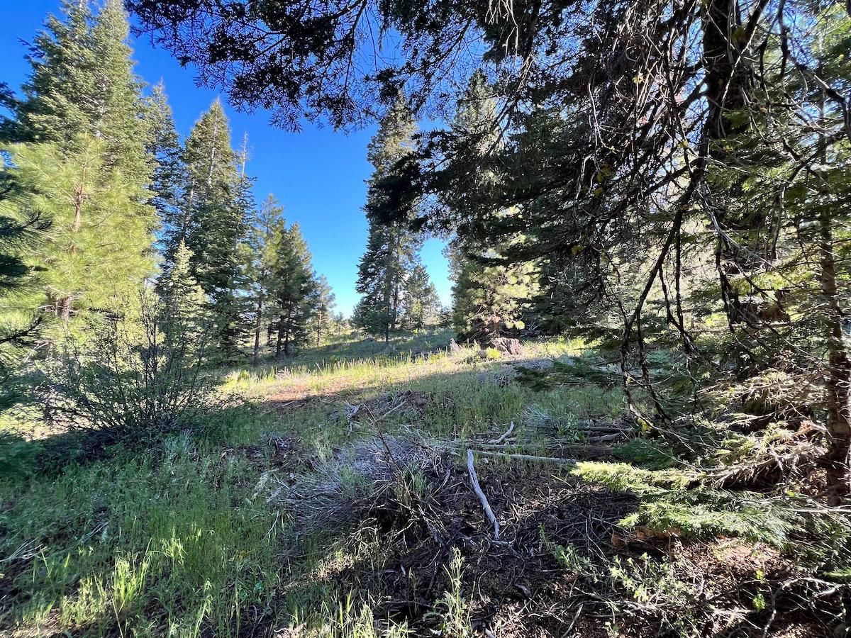 Stronghold Road, Alturas, CA 96101 | Land.com
