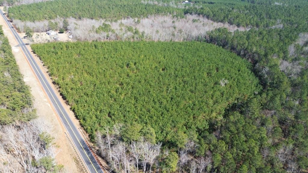 14 acres in Ridgeway, SC, 45039 | MLS: B766A SC Fairfield Co- Longtown ...