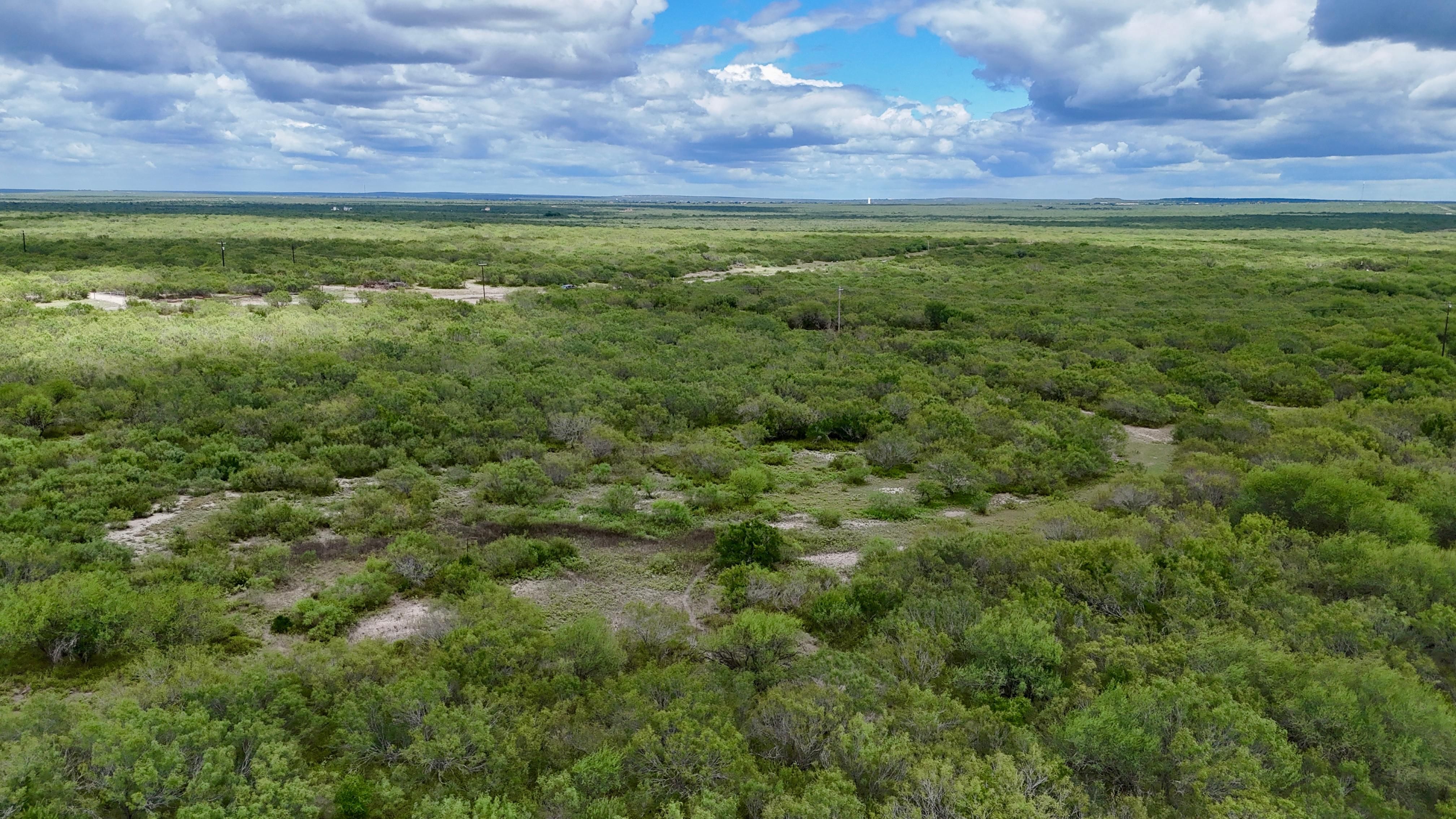 57.93 acres in Freer, TX, 78357 | Land.com